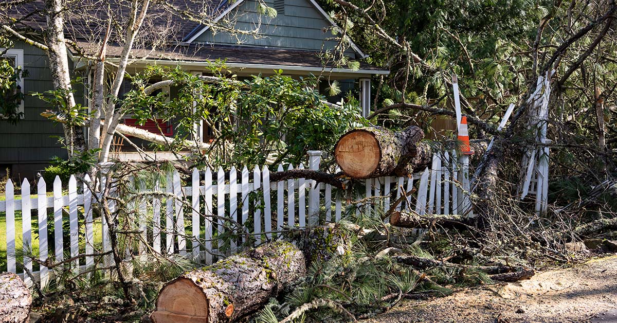 Protecting Your Fence Against Harsh Weather - Howell Fencing